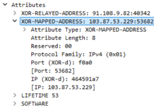 Capture IP Addresses On Telegram Calls: Expert Wireshark Guide ...